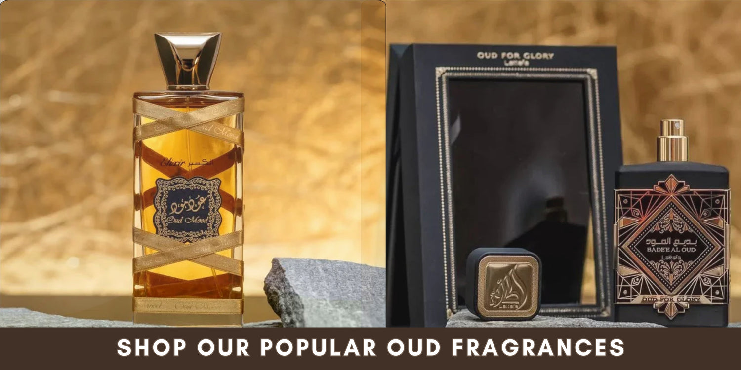 House of Fragrances | Designer Inspired | Oud | Bakhoor| Car Diffusers